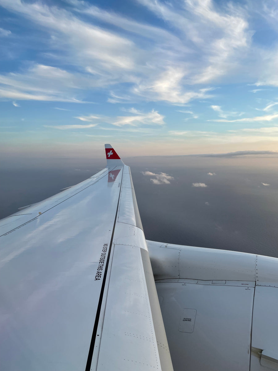 IMG_0042_1200x1200.jpg?v=1724067120